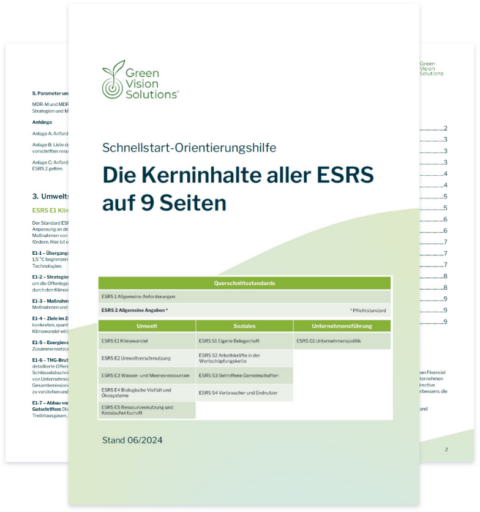 The ESRS Standards | Overview | Download Link