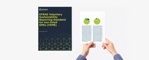 VSME Standards: A simplified alternative to ESRS for SMEs