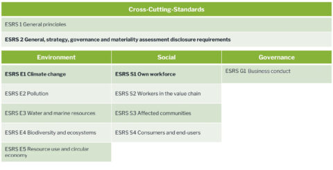 The ESRS Standards | Overview | Download Link